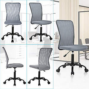 Ergonomic Desk Chair Mid Back Mesh Chair Height Adjustable Office Chair, Home Office Chair Modern Task Computer Chair No Armrest Executive Rolling Swivel Chair with Casters (Grey)
