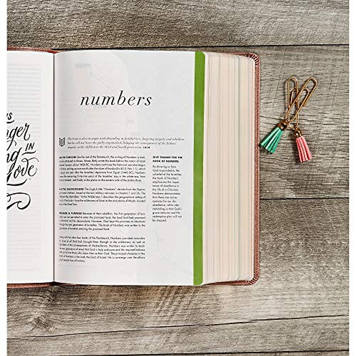 CSB She Reads Truth Bible, Rose Gold LeatherTouch, Black Letter, Full-Color Design, Wide Margins, Journaling Space, Devotionals, Reading Plans, Single-Column, Easy-to-Read Bible Serif Type