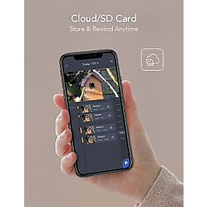 nooie pro Cam, Security Cameras Wireless Outdoor, 2K Solar Security Camera, Battery Powered WiFi Surveillance Camera, Two-Way Talk, Spotlight, Color Night Vision, Works with Alexa, Cloud/SD Storage