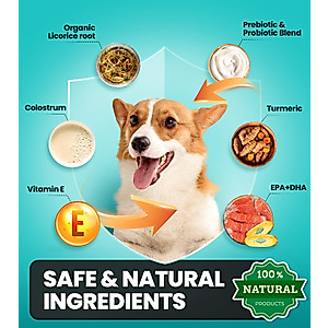 OMIKEE Dog Allergy Chews for Seasonal Allergies, Dog Allergy Relief with Omega 3, Probiotics & Natural Ingredients, Itch Relief for Dogs Allergy, Itching, Paw Biting, Skin Health 120 Ct Chicken Flavor