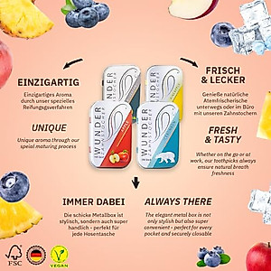 Wonder Toothpick - Flavored Toothpicks - Starterpack - 400 Infused Toothpicks with Natural Flavors - Fresh Breath On-The-Go