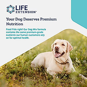 Life Extension Dog Mix - Daily Nutrition Care Supplement Powder for Your Canine Pet - Advanced Formula with Vitamins, Probiotics & Essential Fatty Acids - Gluten-Free, Non-GMO – 100 g, 60 Servings