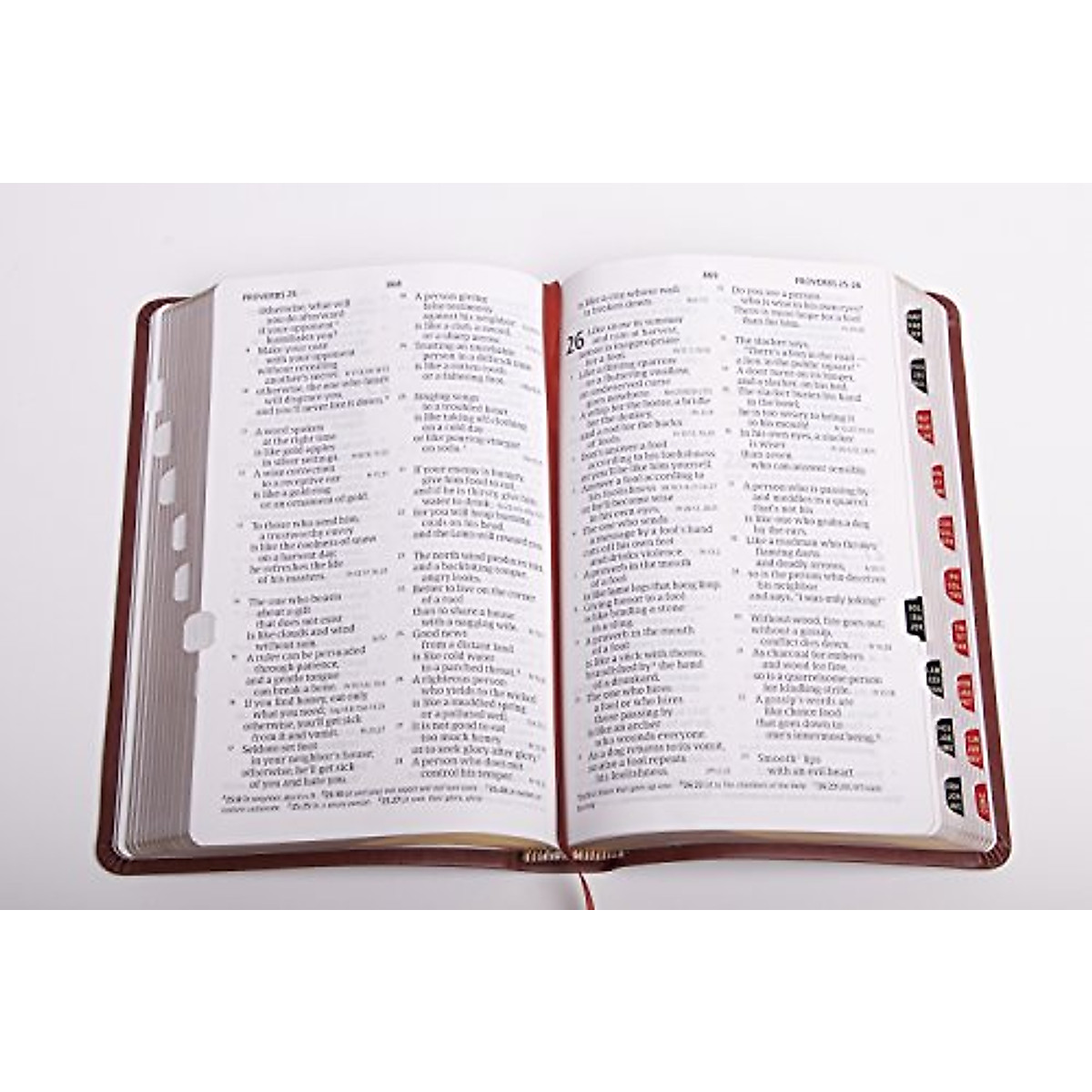 CSB Large Print Personal Size Reference Bible, Brown LeatherTouch, Indexed, Red Letter, Presentation Page, Cross-References, Full-Color Maps, Easy-to-Read Bible Serif Type