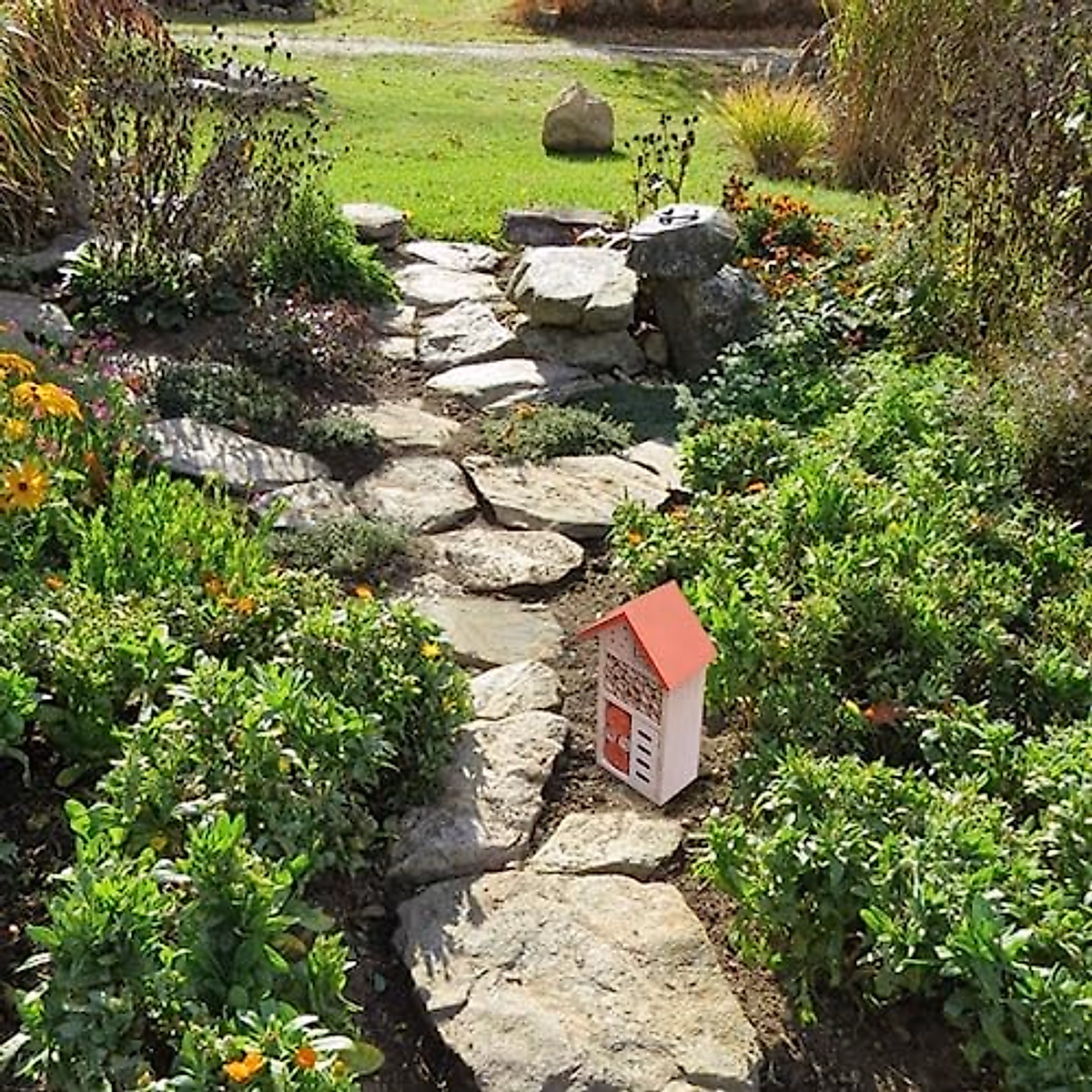 FUNPENY Wooden Insect House, Insect Hotel with Brush for Butterfly, Bees and Ladybugs