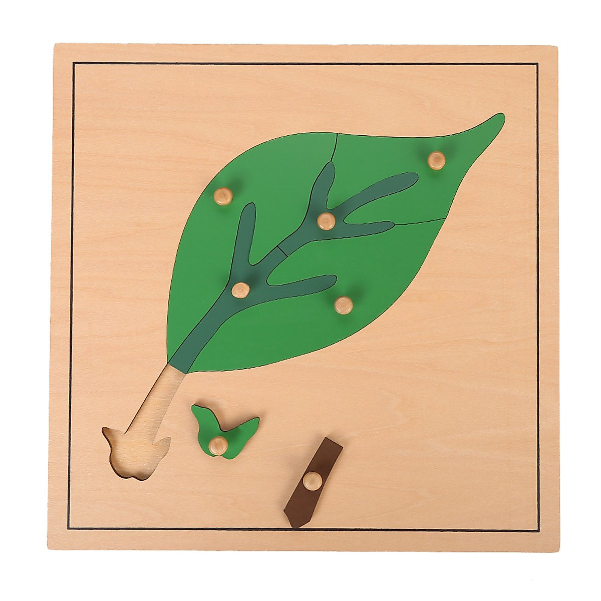 MEYOR Montessori Leaf Puzzle for Early Preschool Education Learning Toy