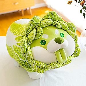 Maomoto Cabbage Dog Plush Toys Vegetable Dog Toy, 15.7" Cabbage Shiba Inu Corgi Akita Dog Stuffed Figure, Cute Vegetables Dog Hugging Pillow, Soft Toy Children's Gift