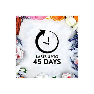 Air Wick 24382696 Air Wick Essential Mist Starter Kit Free Refill