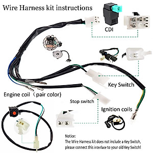 ATV Wiring Harness 110cc Chinese ATV Wiring Harness CDI Ignition Coil 2 Coil Magneto stator Plate Set for tao tao Scooter Pit Bike ATV 50cc 70cc 90cc 110cc 125cc 4 Stroke Wiring Harness
