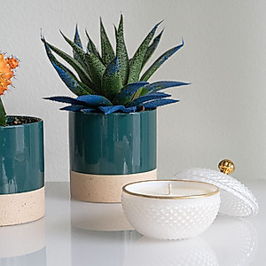 BRIGANTI Scented Candle in White Glass Jar (Vanilla Cupcake) Vanilla Bean, Buttercream, Cake, and Bourbon | Elegant Candle for Home Aromatherapy, All Natural Soy Wax 4oz