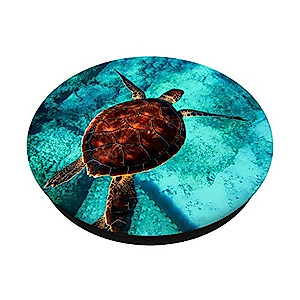 Sea Turtle Blue & Green Ocean Sea Waters a Sea Creature Gift PopSockets PopGrip: Swappable Grip for Phones & Tablets