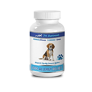 dog itchy skin relief - ALLERGY AND ITCH RELIEF FOR ALL DOGS - ANY SIZE - WITH TURMERIC AND QUERCETIN - IMMUNE BOOST - turmeric curcumin for dogs - 1 Bottle (75 Tablets)