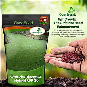 Outsidepride SPF-30 Hybrid Bluegrass Seeds - 5 lbs. Heat & Drought Tolerant, Texas Bluegrass & Kentucky Bluegrass Seed Mix for Challenging Climates, OptiGrowth Coated for Better Establishment