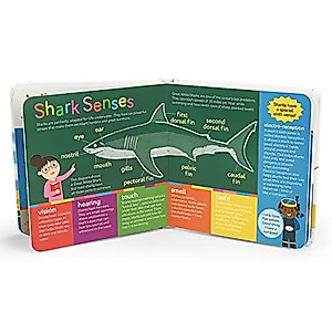 Sharks (Smithsonian Kids First Discovery Books)
