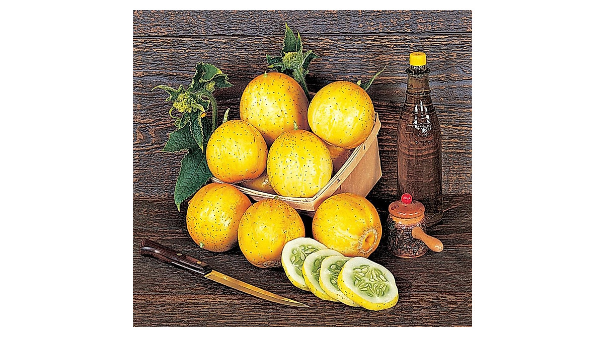 Burpee Lemon Cucumber Seeds - 100 Non-GMO Heirloom Seeds