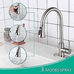 Kitchen Sink Faucet,Hans D'blanc Single Handle Single Hole Brushed Nickel Kitchen Faucet with Pull Down Sprayer 3 Modes for Kitchen RV Bar Sink,Included Deck Plate for Single or 3 Holes