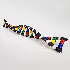 iplusmile DNA Models Double Helix Structure Models DNA Double Helix Modesl Kit Biological Science Popularization Teaching Aids for DNA Assembling
