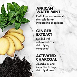 SheaMoisture Hair & Scalp Clarifying Conditioner for Curls African Water Mint Paraben Free 13 oz