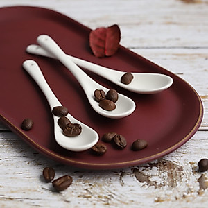 Leegg Porcelain Egg Spoons Set of 12 Ceramic Spoons Teaspoons for Coffee Tea and Desserts Spoon