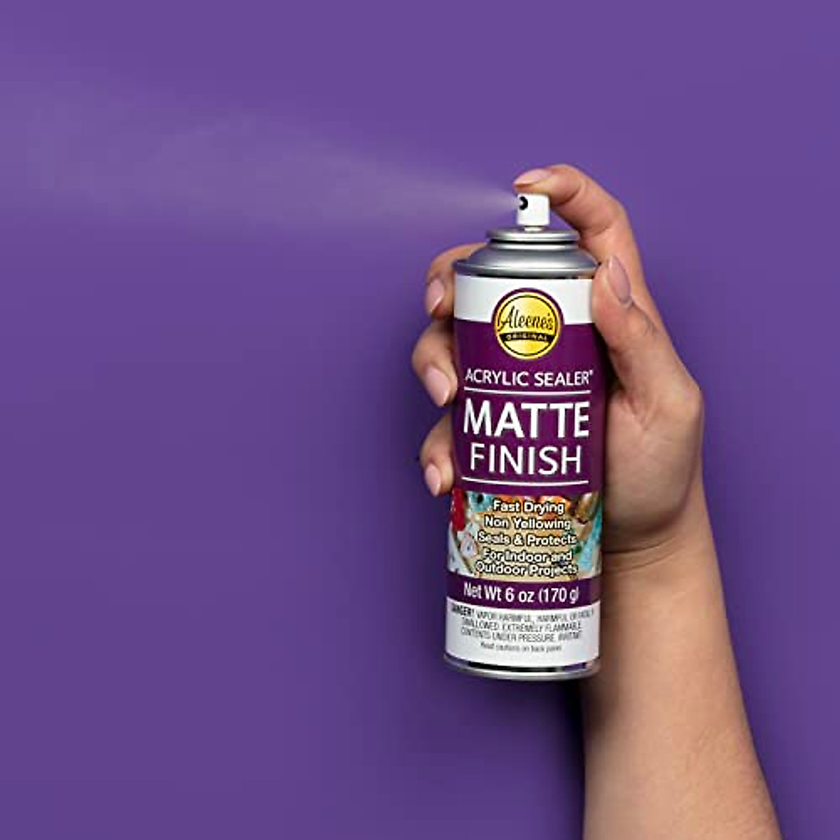 Aleene's Spray Finish 6oz Acrylic Sealer, 6 Ounce (Pack of 1), Clear-Matte