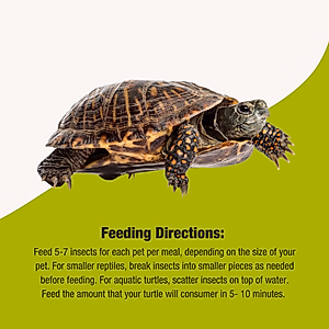 Fluker's Grub Bag Turtle Treats, Insect Blend, High Protein Freeze Dried River Shrimp, Crickets, and Mealworms, For Aquatic Turtles, Amphibians, and Reptiles, 12 oz
