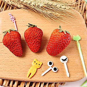 Fun Bento Picks set, 108 Pcs Animal Food Picks for Kids, Cute Cartoon Animal Fruit Food Toothpicks, Lunch Bento Box Picks for Toddler (60 Animal +10 Cartoon eyes + 20 Sea Creature +18 note shape)