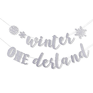 Winter Onederland Snowflake Banner - Winter/snowflake 1st Birthday,winter Party Decorations,silver Snowflake Banner,winter Onederland Birthday Sign