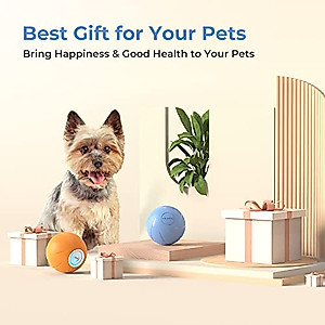 Cheerble Intelligent Toy Ball with [3 Interactive Modes], LED Lights, Wicked Ball SE, Made of Natural Rubber, Active Rolling Ball for Dog/Puppy/Small/Medium Dogs and Cats, DC Rechargeable