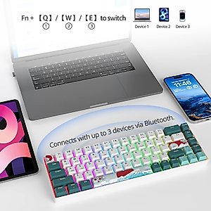 Fogruaden Hot Swappable 60% Wireless Mechanical Gaming Keyboard 60 Percent, 2.4G/USB-C/Bluetooth Keyboard, RGB Backlit, 68 Keys NKRO Compact Mini Keyboard for Win/Mac(Gateron Yellow Switch, Forest)