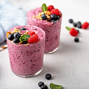 True Lemon Two Pack - Lemon Shaker and Lime Shaker, Powder