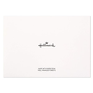 Hallmark Blank Note Cards (Flowers and Dots, 50 Blank Cards or Thank You Cards with Envelopes)