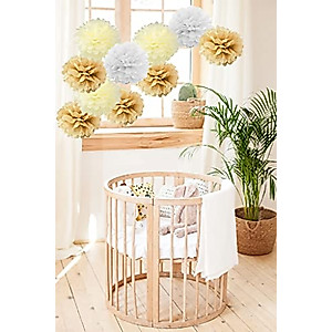 10PCS Mixed Cream Tan Brown White Party Tissue Paper Pom Poms Streamers Neutral Birthday Baby Shower Wedding Nursery Classroom Hanging Decoration
