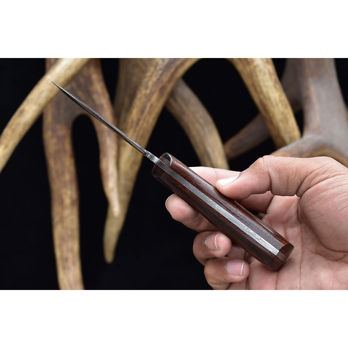 Knives Ranch Damascus Skinning Knife, Fixed Blade Hunting Knife with Rosewood Handle and Heavy-Duty Dual Horizontal/Vertical Sheath (3129-IRW)