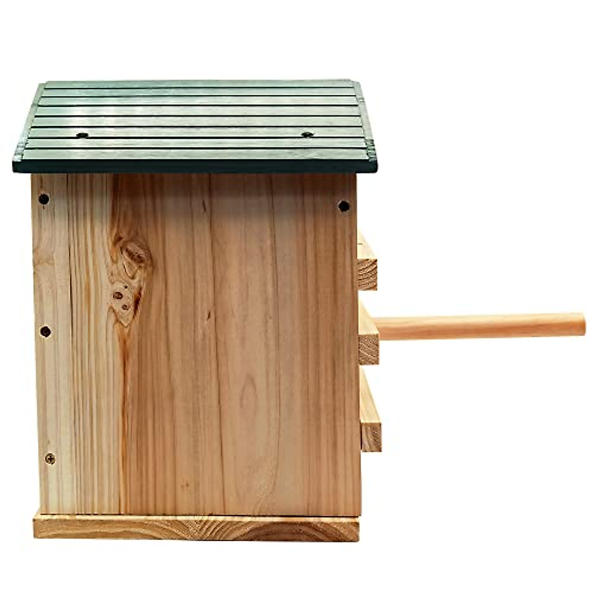 Prolee Screech Owl House Hand Made 14 x 10 Inch 100% Cedar Wood Owl Box with Mounting Screws, Easy Assembly Required (Bird Stand Design)