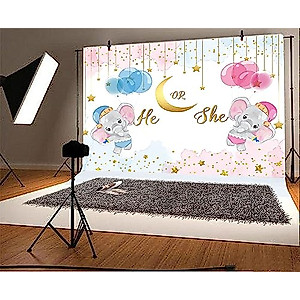 Yongfoto 6x4ft Elephant Gender Reveal Baby Shower Party Backdrop He or She What Will Baby Be Blue and Pink Balloons Gold Confetti Photography Backdrop Newborn Party Decorations Banner Studio Props