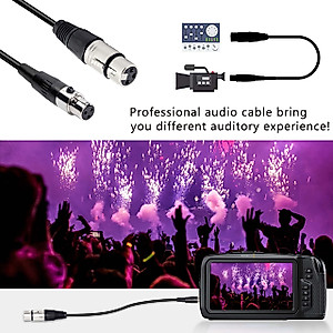 XMSJSIY Mini Female XLR to XLR Female Audio Cable Adapter 3 Pin XLR to Mini 3 Pin XLR Microphone Cable Wire for Lavalier Mic Camera-1 Pcs (Mini XLR Female to XLR Female)