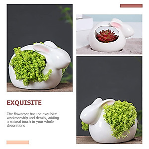 GANAZONO Bunny Succulent Planter Outdoor Decor Rabbit Shaped Planter Ceramic Plant Pot Easter Bonsai Succulent Container Bunny Plant Pot for Easter Party Favors Decoration Indoor Plants