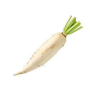 Bulk Daikon Radish Seeds for Food Plot or Cover Crop - Chinese, Japanese, or Oriental Radish - Easy to Grow (5 Pounds)