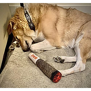 Nestpark Doggy Doobie - Funny Dog Toys - Plush Squeaky Dog Toys for Medium, Small and Large - Cute Dog Gifts for Dog Birthday - Cool Stuffed Dog Toys