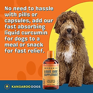 Kangaroo Dogs Organic Turmeric Curcumin Dog Joint Supplement - Liquid for Faster and Better Absorption Natural Dog Joint Supplement Liquid (8 oz)