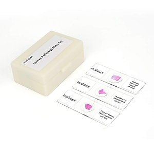 Prepared Human Pathology Microscope Slide Set, 12pcs Research-Quality Prepared Tissue Microscope Slides of Human Diseases (Human Pathology)