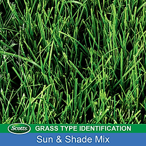 Scotts Turf Builder Sun and Shade Mix for Extreme Conditions including Full Sun and Dense Shade, 7 lbs.