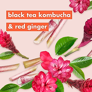 Love Beauty And Planet Shampoo and Conditioner, Black Tea Kombucha & Red Ginger - Sulfate-Free Shampoo & Conditioner, Clarifying, Hydrating, Shiny Hair Products, Scented, 13.5 Oz