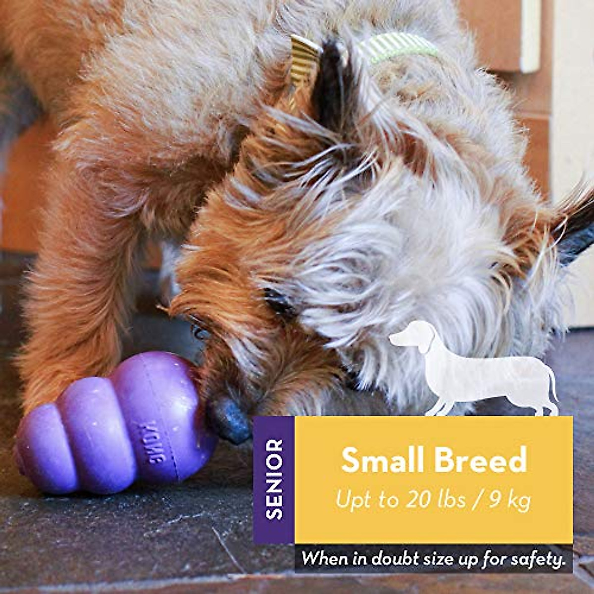 KONG - Senior Dog Toy Gentle Natural Rubber - Fun to Chew, Chase and Fetch - for Small Dogs