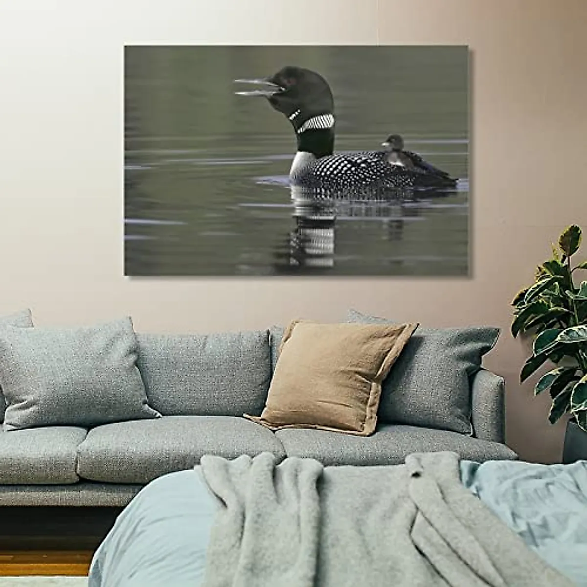 Common Loon with Chick on Water Back Call Picture Poster Wall Decoration Poster in Kamloops, British Canvas Painting Wall Art Poster for Bedroom Living Room Decor 08x12inch(20x30cm) Frame-style