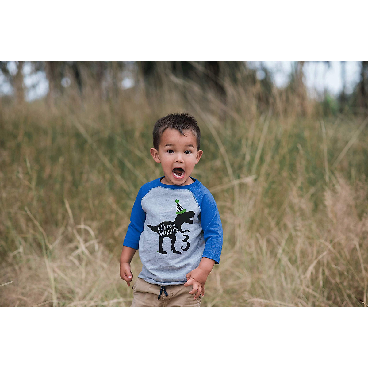 7 ate 9 Apparel Kid's Three 3rd Third 3 Dinosaur Birthday Dino Blue Raglan Tee 3T