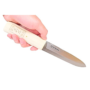 Seki Japan Masahiro Japanese Fisherman Professional Fishing Fillet Knife, 150 mm (5.9 inch), Japanese Carbon Steel Cutlery, with Wood Handle & Case, Makiri Knives for Camping, Outdoor, Home Kitchen