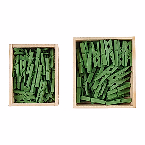 50 Pcs Mini Craft Clothespins Wood 1" Multi Color for Crafts and Arts Tiny Decorative (Light Green, 1 inch)