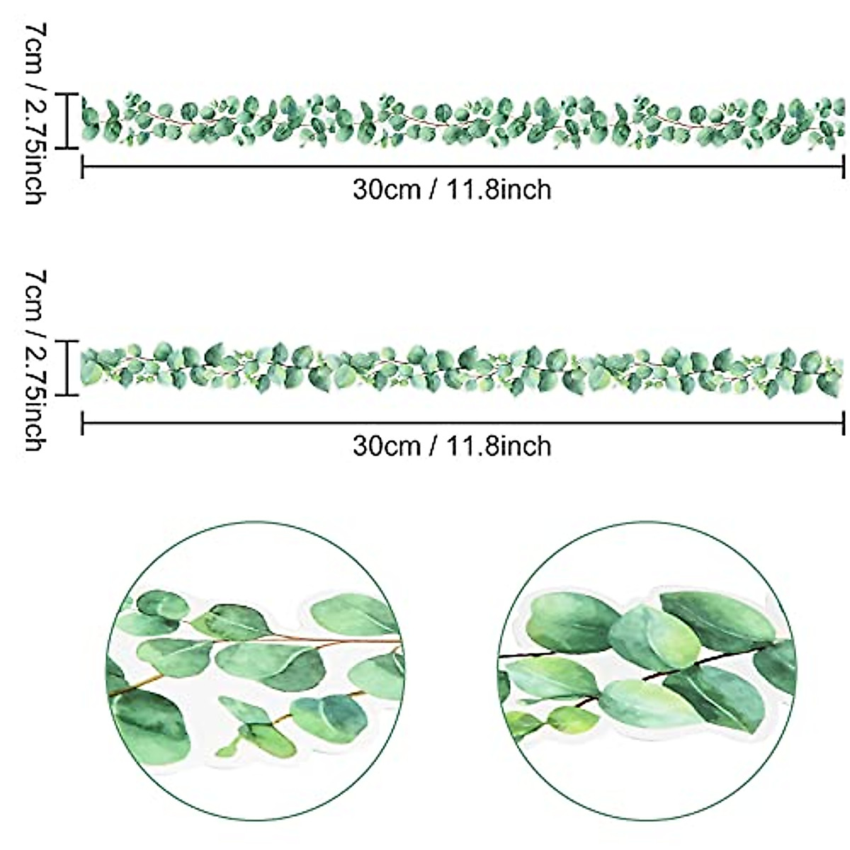 Eucalyptus Border Bulletin Board Classroom Boho Bulletin Wall Decor Trim Border Decor Wall Decals Border Tropical Leaves Greenery Wall Decoration (Eucalyptus Style, 59ft)