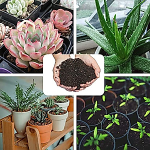 Halatool 3 QT Organic Succulent Soil Potting Mix Garden Top Soil for Indoor & Outdoor Plants Bonsai Aloe Vera Soil for Houseplants Flowers Vegetables & Herbs