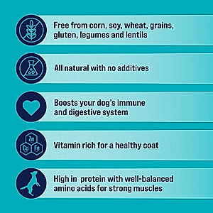 Stewart Single Ingredient Freeze Dried Raw Dog Treats, Beef Liver, 12 Ounce Resealable Tub, Training Treats or Meal Topper Dogs, High Protein, Grain Free, Gluten Free